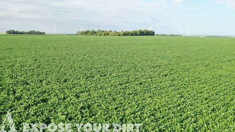 152± Acres of Farm Land near Verdi. MN - Advantage Land Co./G3 Auction ...