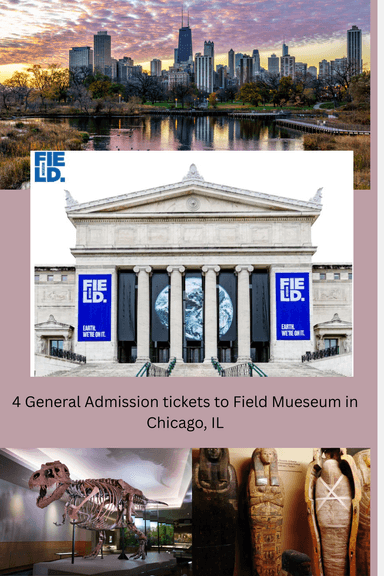 Field Mueseum - Backes Commercial Auctioneers