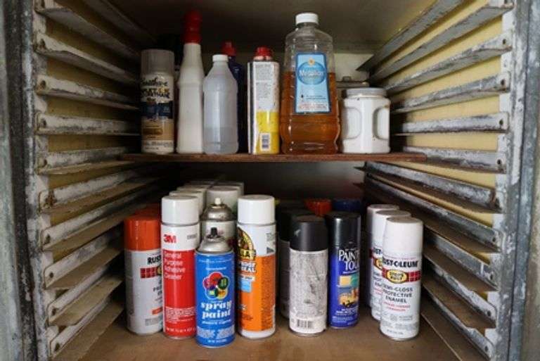 28" x 75" x 36" Deep portable storage cabinet with inventory - paints ...