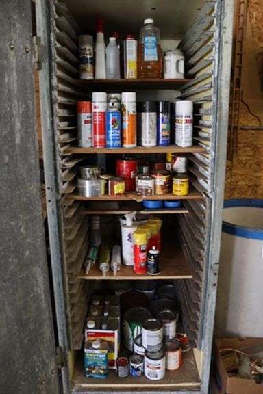 28" x 75" x 36" Deep portable storage cabinet with inventory - paints ...