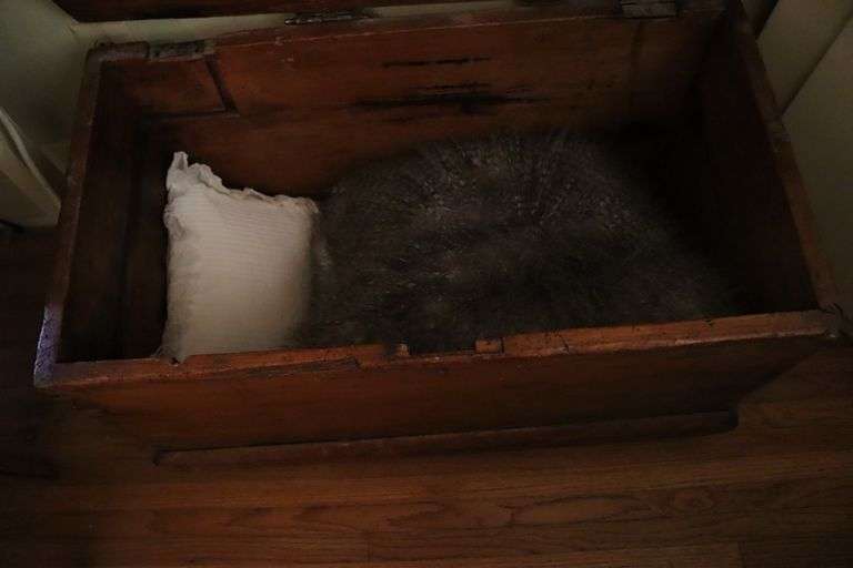 16" x 30" pine work trunk - Backes Commercial Auctioneers