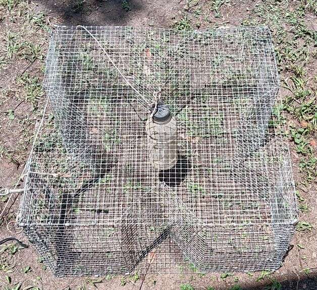 Cloverleaf Weir Fish Trap - ELCO Auctions