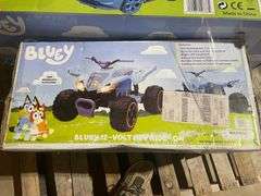 (2) "Bluey" Electric Children's Cars - JJ Merchant