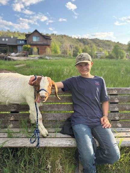 Chance Scott Goat - Premier Livestock Auctions