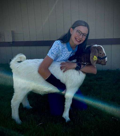 Charlie Sturgeon Goat - Premier Livestock Auctions